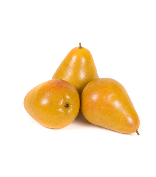 Caja con 12pzas de Pera Café Modeladas y Pintadas 100% a Mano | Martha ...